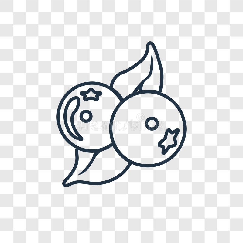 Berries Concept Vector Linear Icon Isolated on Transparent Background ...