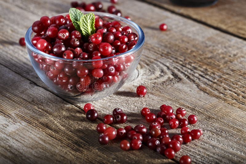 Berries Cranberries on the Table Stock Photo - Image of cooking ...
