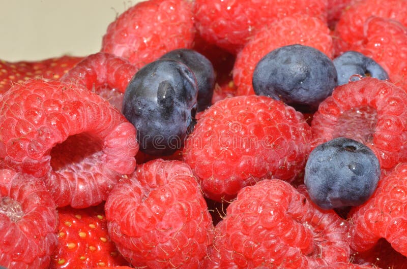 Berries stock image. Image of blue, raspberries, blueberries - 39961375