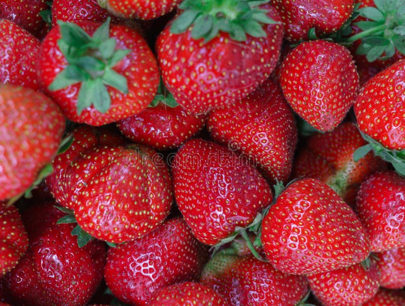 Berries of Fresh, Ripe, Red Strawberries Scattered in a Box Stock Image ...