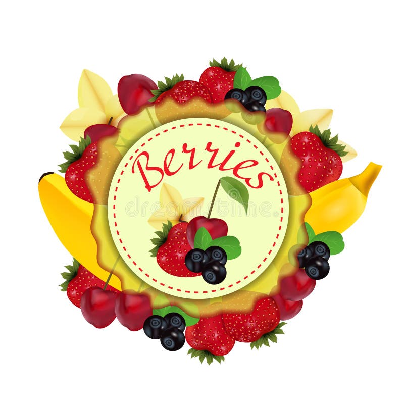 Berries and fruit. Label stock vector. Illustration of harvest - 79105670