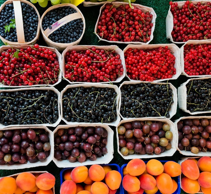 Berries and fruit stock image. Image of produce, fruit - 45231011