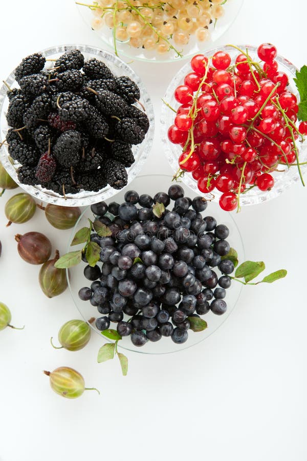 Berries stock image. Image of healthy, juicy, nature - 31818799