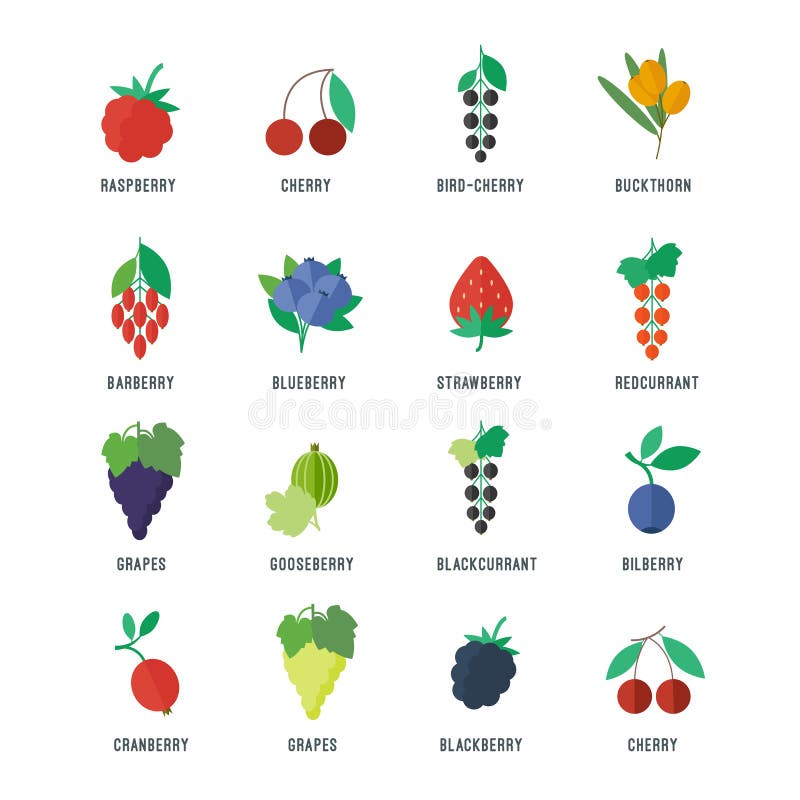 Berries icons set stock illustration. Illustration of healthy - 80255837