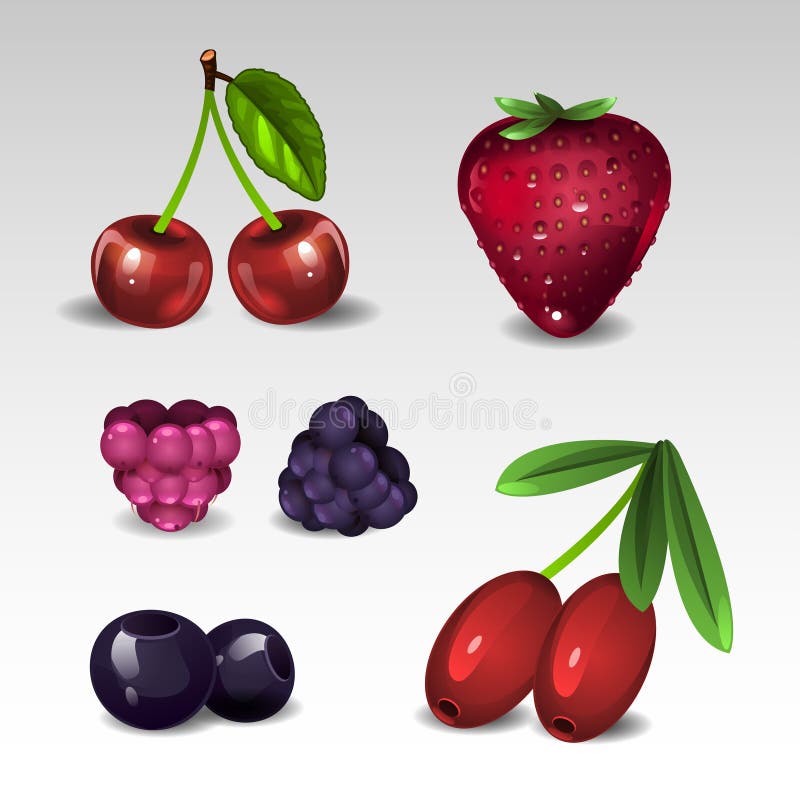 Berries stock vector. Illustration of blue, healthy, ripe - 46929205