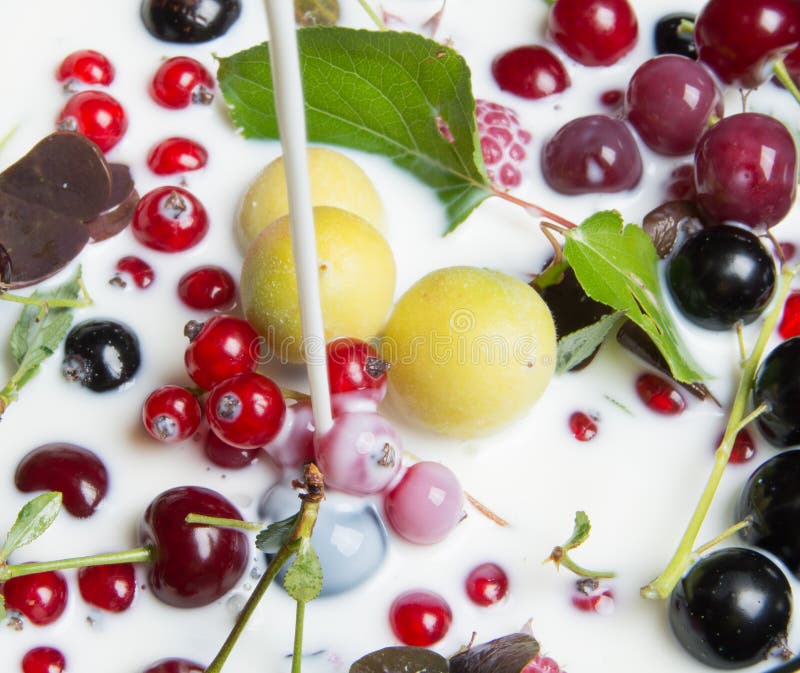 Berries in milk stock image. Image of gooseberry, ripe - 56856433