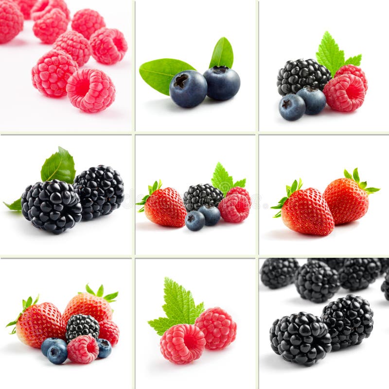 Berries mix stock photo. Image of plant, blueberry, antioxidant - 45328740