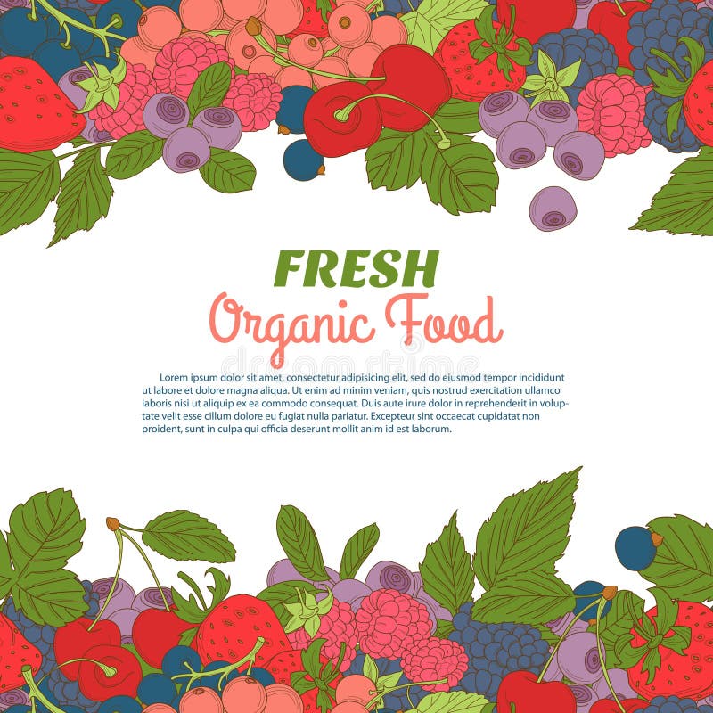 Berries Mix Seamless Border Frame of Cherry, Currant, Blueberry ...