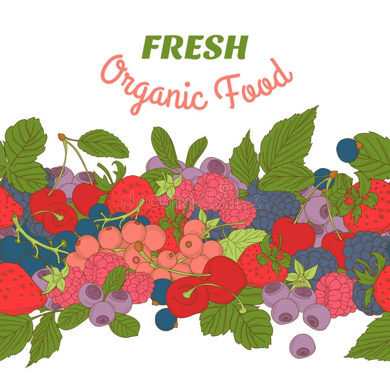 Berries Mix Seamless Border Frame of Cherry, Currant, Blueberry ...