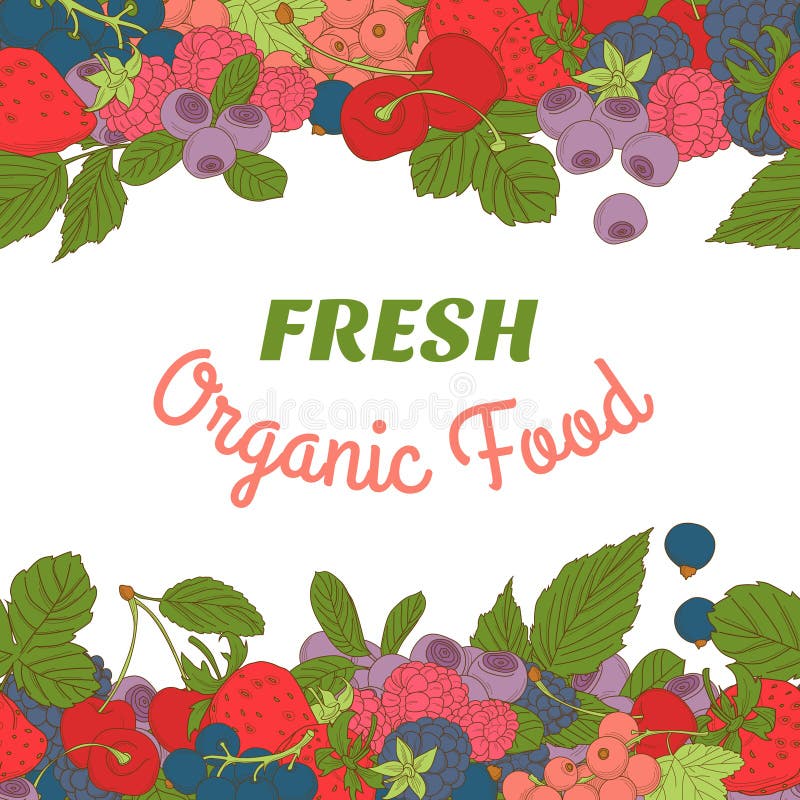 Berries Mix Seamless Border Frame of Cherry, Currant, Blueberry ...