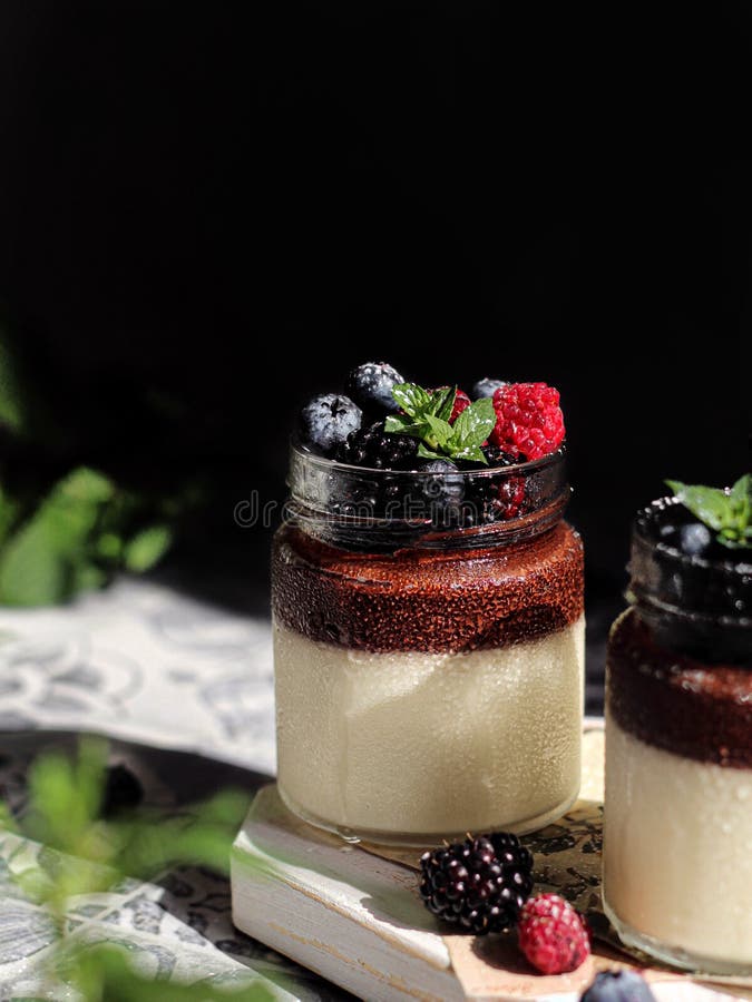 Berries panna cotta stock image. Image of liqueur, dessert - 254951337