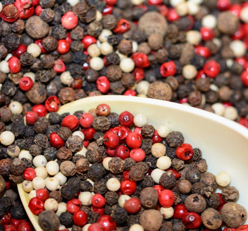 Berries of pepper stock photo. Image of piperine, spices - 40263898
