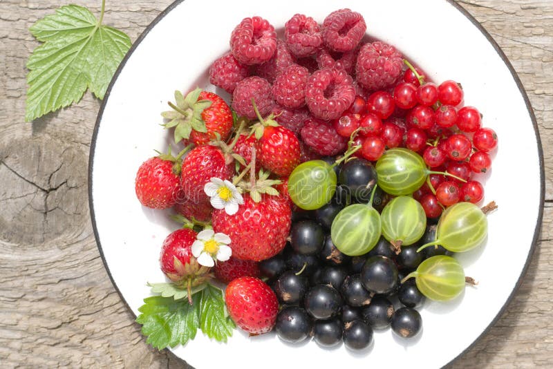 Berries stock image. Image of healthy, health, outdoors - 45387617