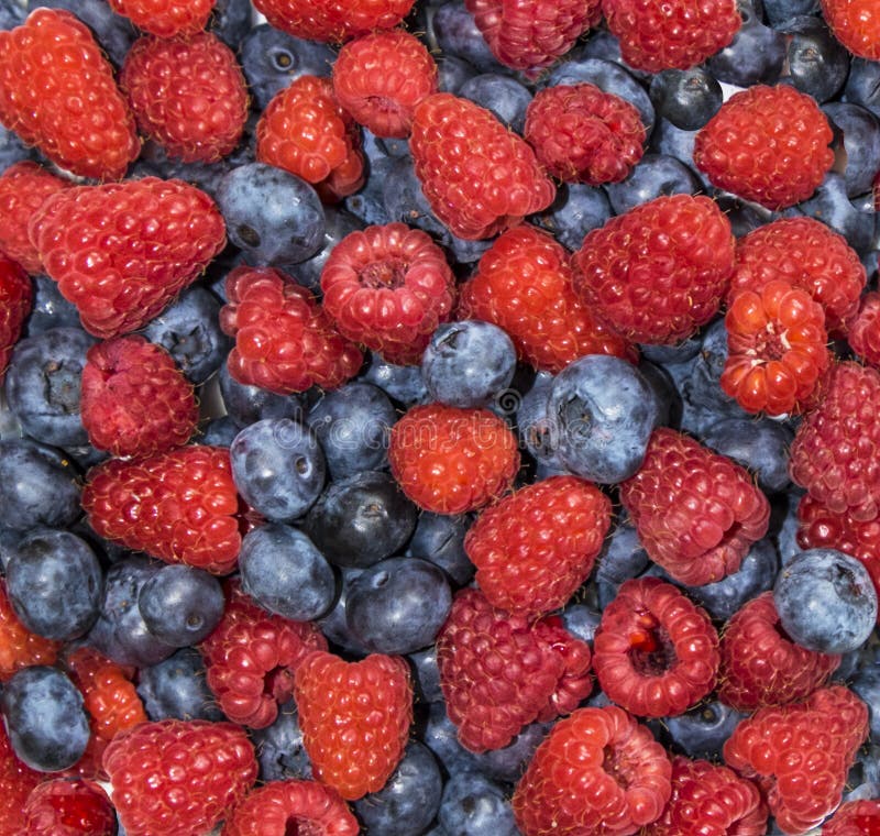 Berries stock image. Image of rasberries, berries, blueberries - 57923487
