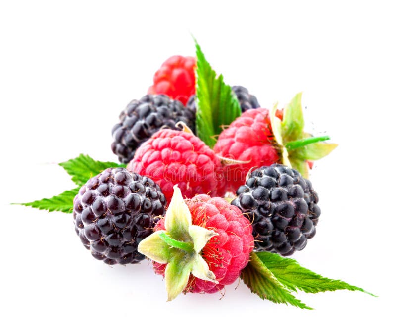Berries. Raspberry with Blackberry Stock Image - Image of blackberry ...