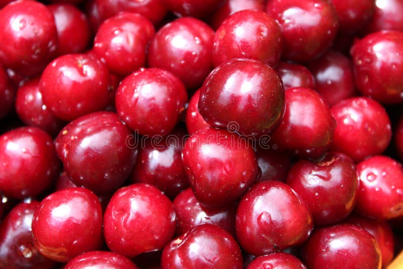 Berries red cherry stock image. Image of eating, grass - 73468221