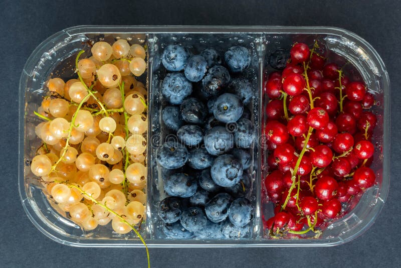 Berries of Red and White Currants and Blueberries in Plastic Packaging ...