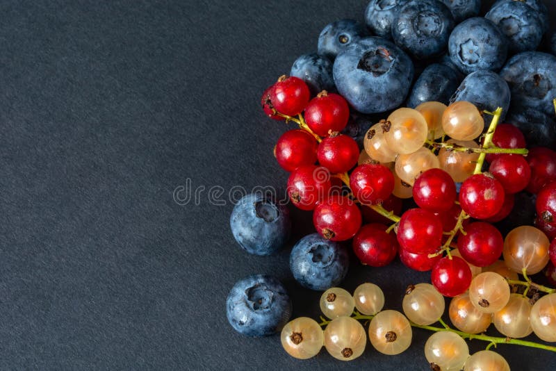 Berries of Red and White Currants and Blueberries in Plastic Packaging ...