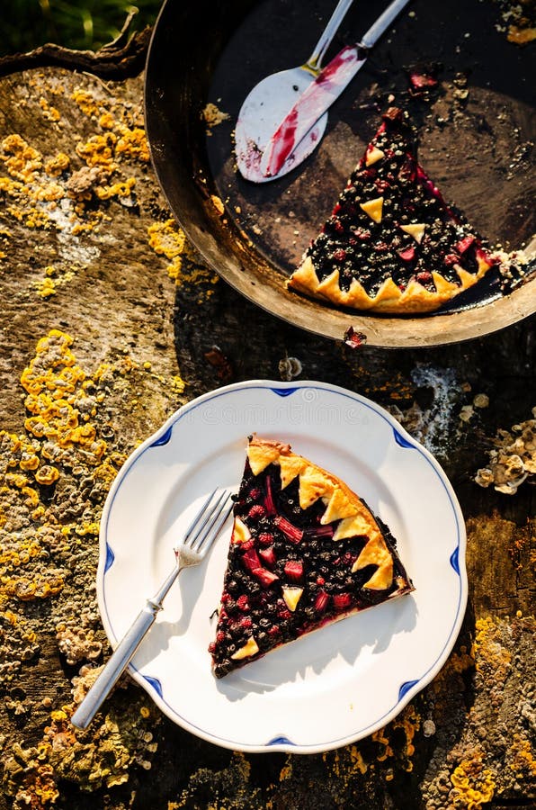 Berries and Rhubarb Slice Pie Stock Photo - Image of wild, stump: 61773914