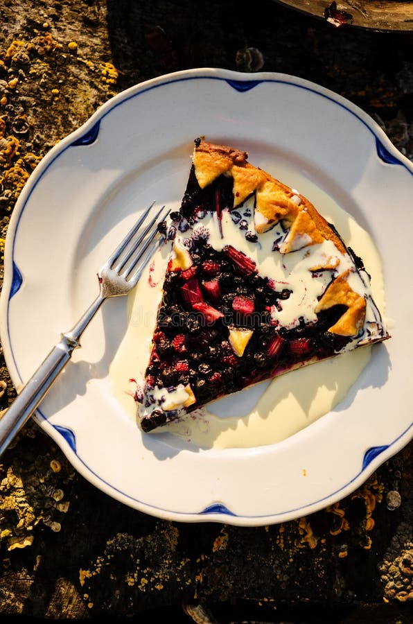 Berries and Rhubarb Slice Pie Stock Image - Image of stump, dough: 61773979