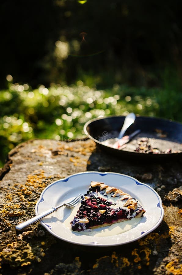 Berries and Rhubarb Slice Pie Stock Photo - Image of bilberries, spoon ...