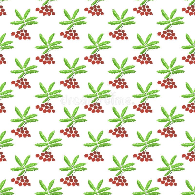 Berries Seamless Pattern - Vector Berry Texture Stock Vector ...