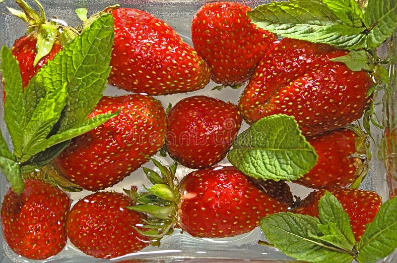 Berries of a Strawberry in Water Stock Image - Image of clean, nature ...
