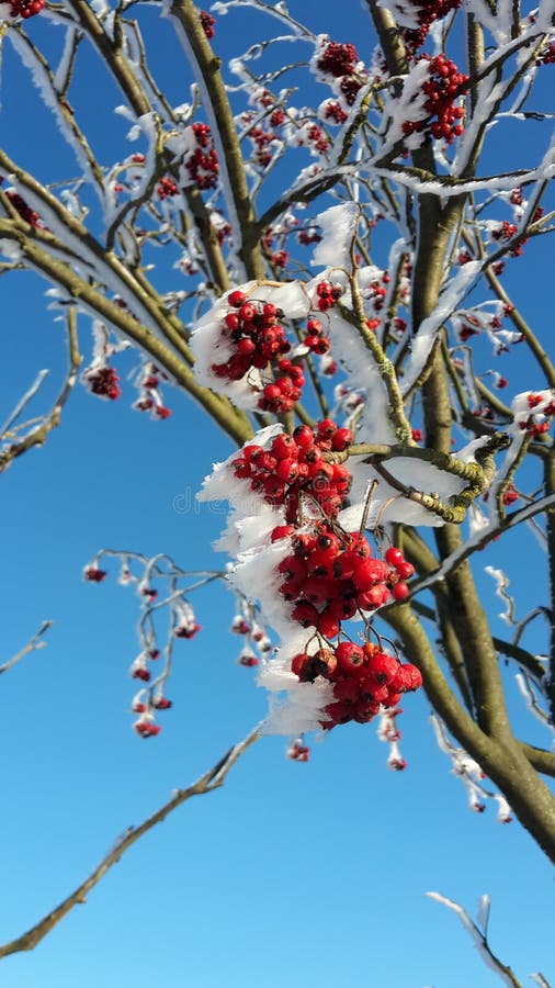 Georges Opposide Stock Photos - Free & Royalty-Free Stock Photos from ...