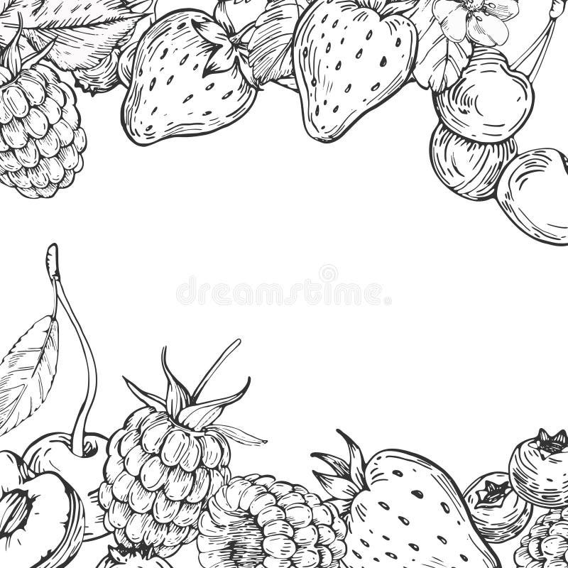 Berries Vector Frame Hand Drawn in Ink. Border with Strawberry, Cherry ...