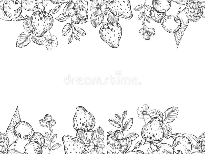 Berries Vector Frame Hand Drawn in Ink. Border with Strawberry, Cherry ...