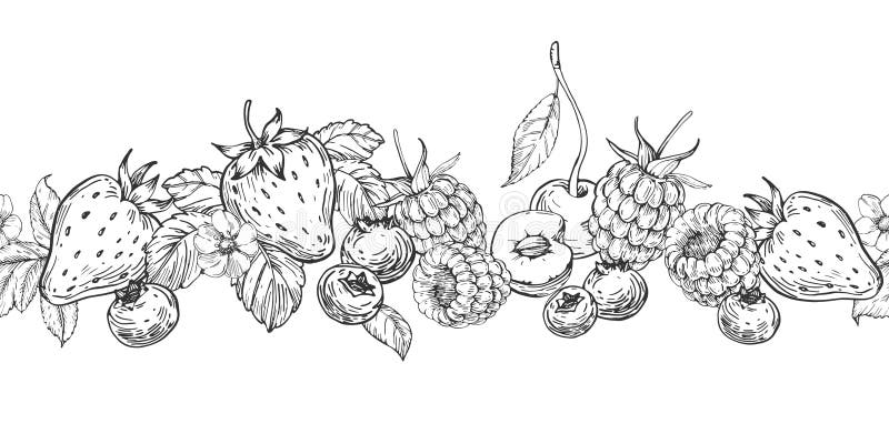 Berries Vector Frame Hand Drawn in Ink. Border with Strawberry, Cherry ...