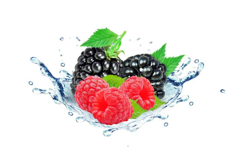Berries water splash stock photo. Image of white, blue - 94163250