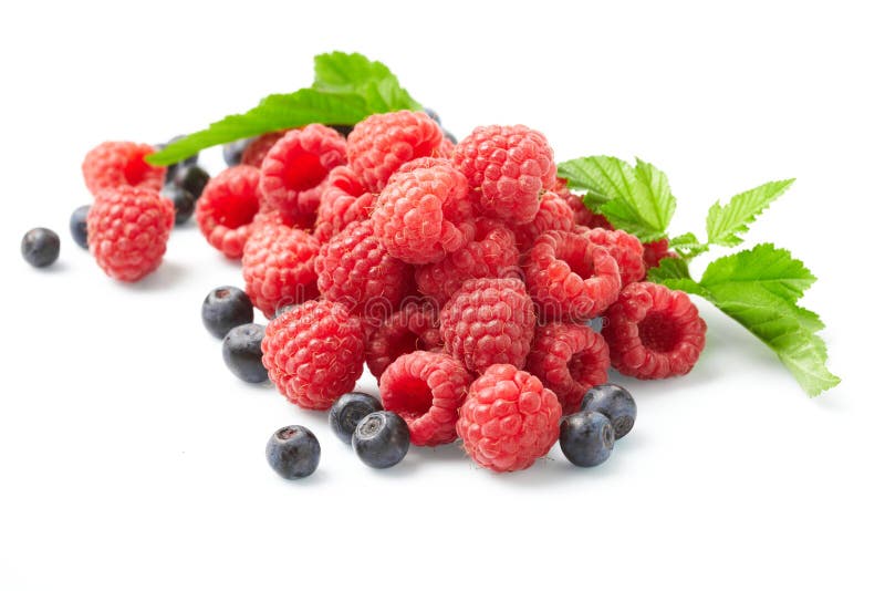 Berries on White Background Stock Image - Image of natural, fruity ...