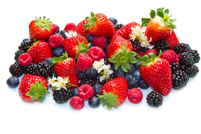 Berries on White Background Stock Image - Image of garden, berry: 41788615