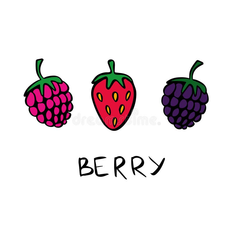Berris Raspberry Strawberry Blackberry Doodle Set Stock Vector ...