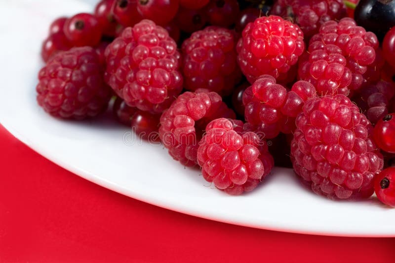 Berry stock image. Image of berry, harvest, nutrition - 11677313