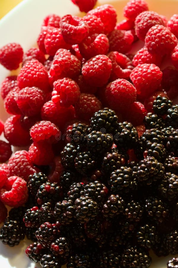 Berry stock photo. Image of berry, fresh, food, tasty - 13747132