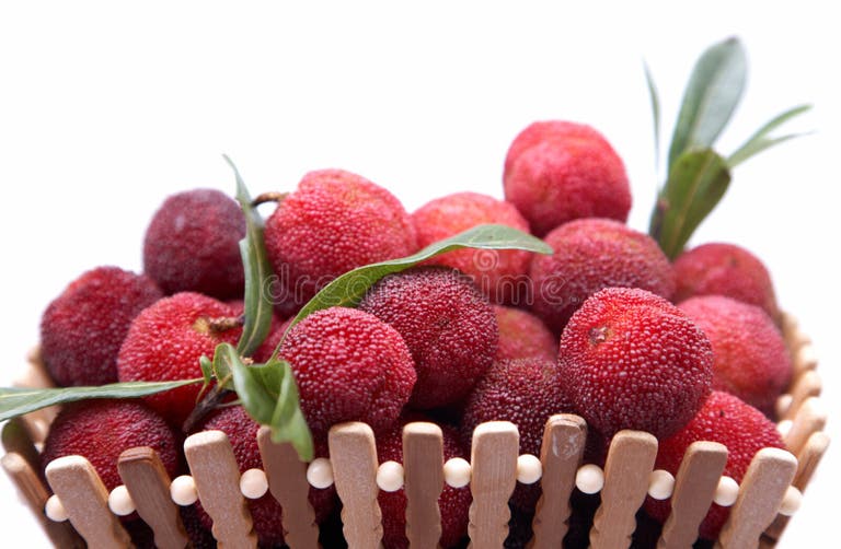 881 Waxberry Stock Photos - Free & Royalty-Free Stock Photos from ...