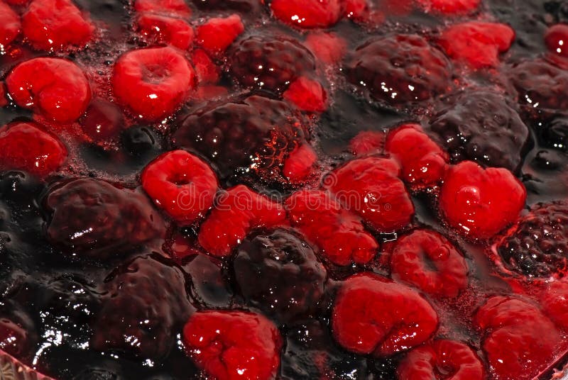 Berry Background Picture. Image: 4472153