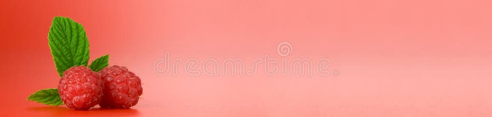 Berry banner stock photo. Image of fruit, fresh, gourmet - 5972612