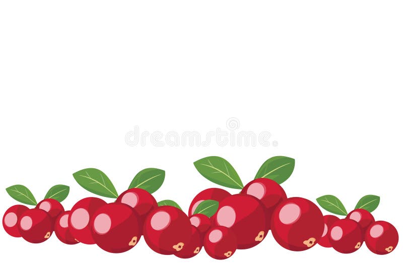 Berry Border Design stock vector. Illustration of fruit - 339706942