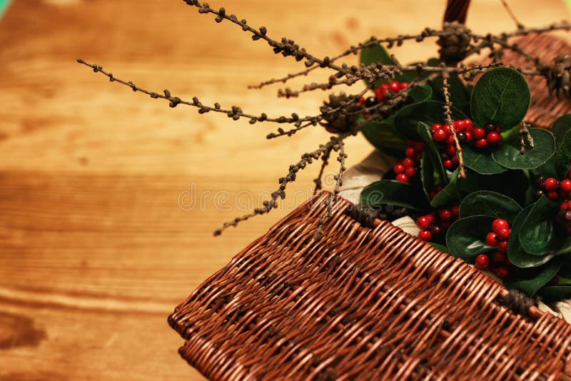 Berry bush in basket stock photo. Image of basket, aucuparia - 110241520