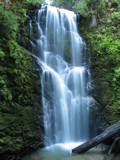 Berry Creek Falls stock photo. Image of stone, basin, scenery - 493166