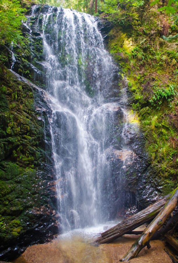 Silver Falls on Berry Creek Trail, Big Basin Stock Image - Image of ...