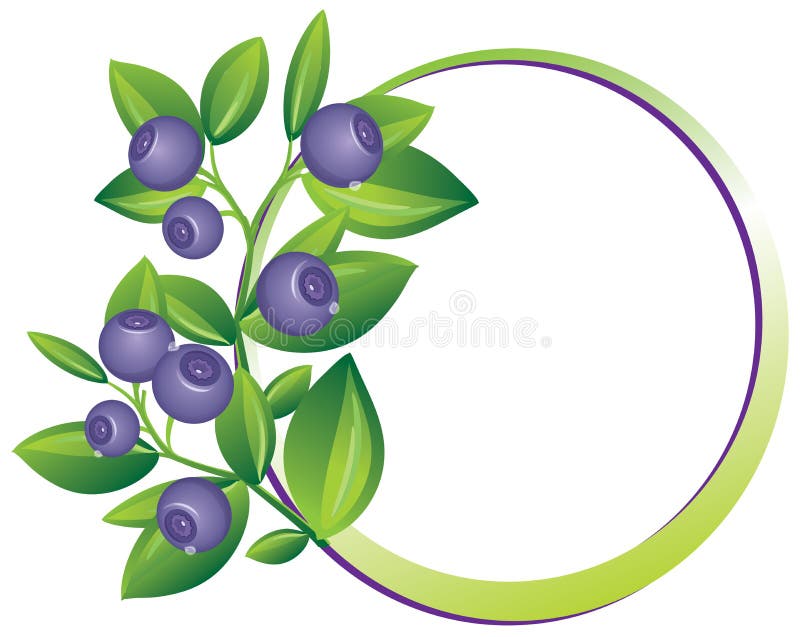 Blueberry Frame Isolated on White Background. Stock Illustration ...