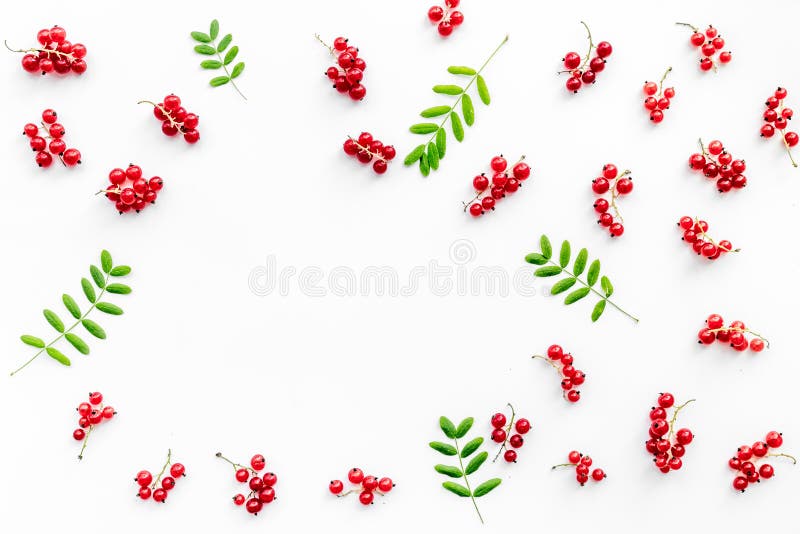 Berry Frame. Red Currant and Leaves on White Background Top View ...