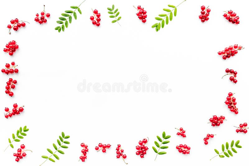 Berry Frame. Red Currant and Leaves on White Background Top View ...