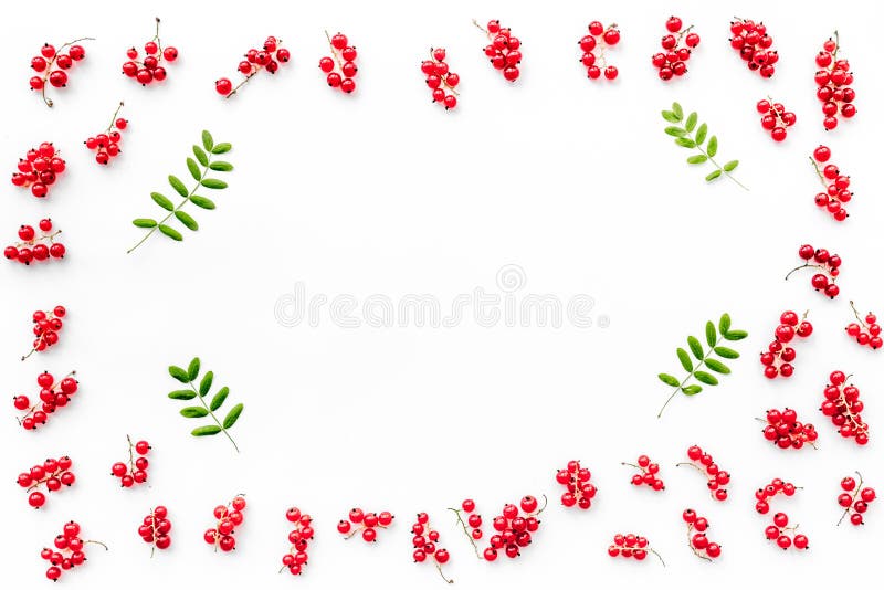 Berry Frame. Red Currant and Leaves on White Background Top View ...