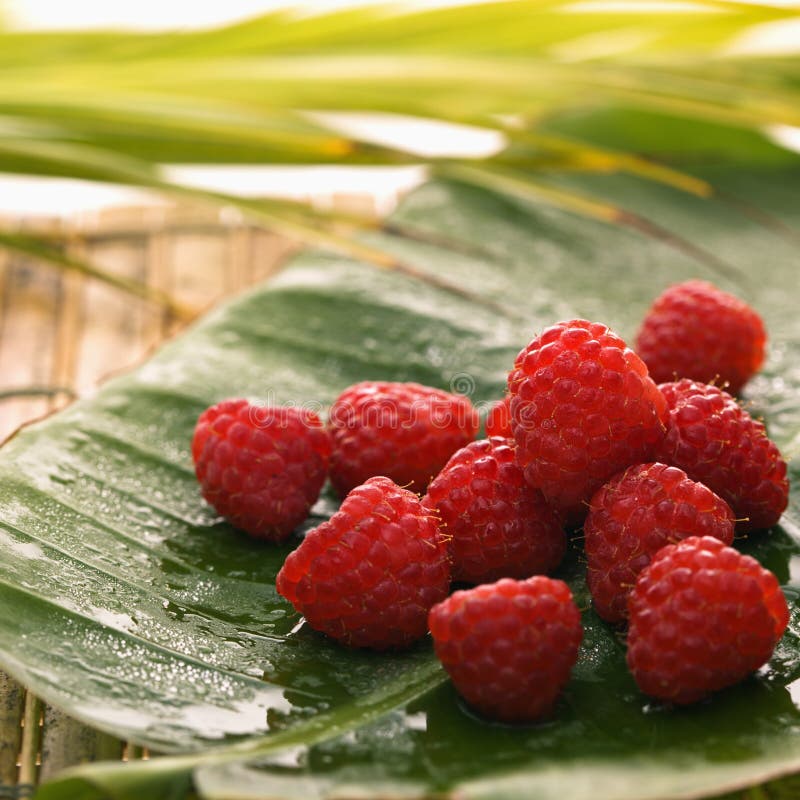 Berry fruit. stock image. Image of diet, raspberry, wholesome - 3531721