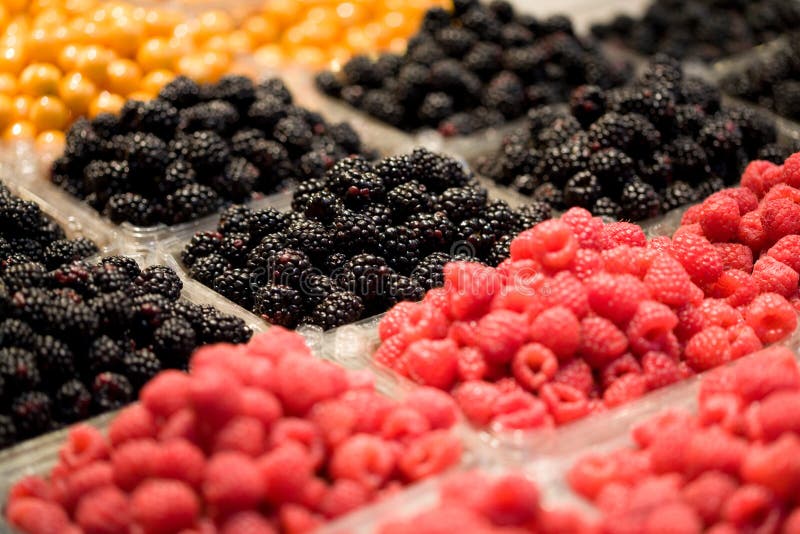 Berry Fruit stock photo. Image of freshness, food, healthy - 4961494